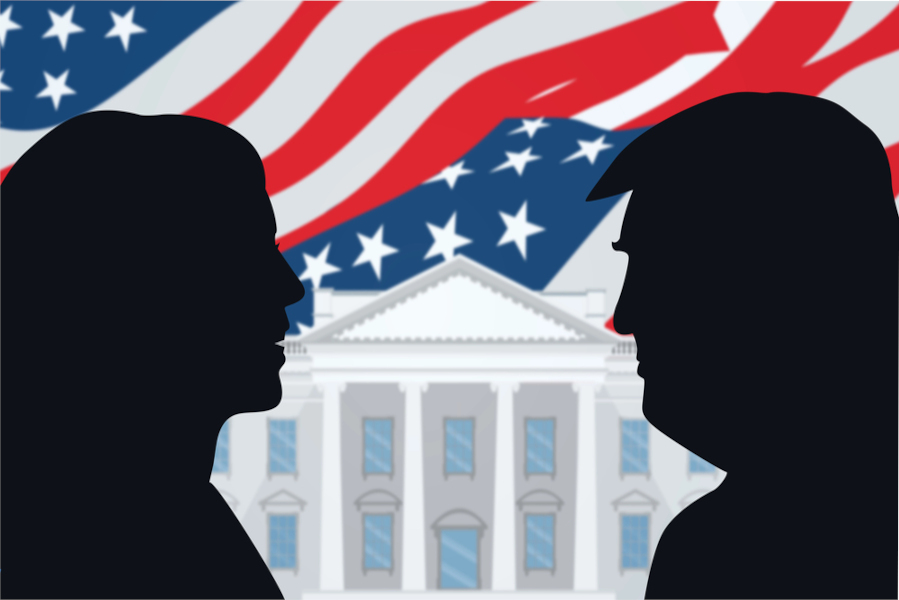 GOP Platform vs. Harris-Walz Record on 10 Big Issues - End Times Guide